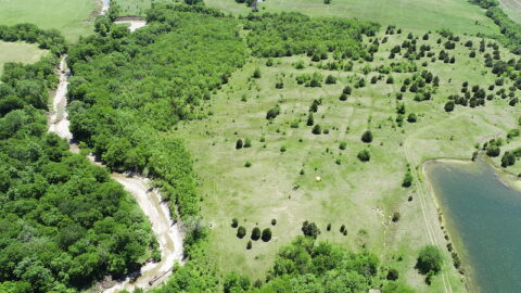 Reservoir - Lake Ralph Hall