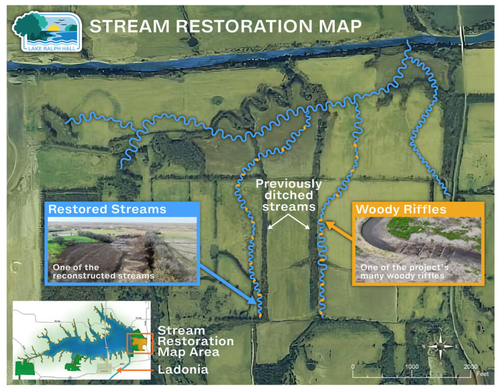 Library - Lake Ralph Hall